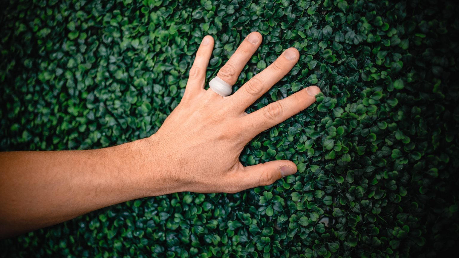 Ring Wrapper – The world's best ring protector