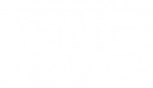 Ring Wrapper – The world's best ring protector
